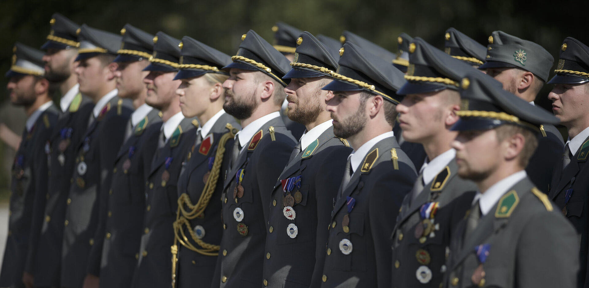 Rank Insignias