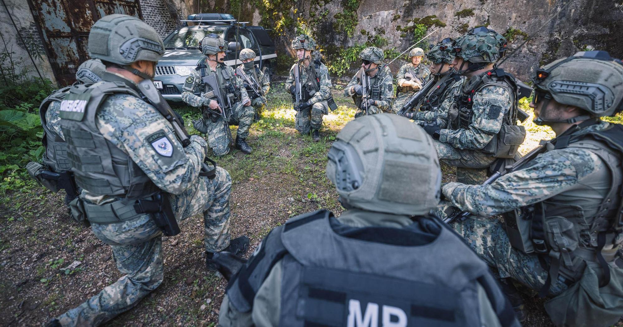 The Austrian Armed Forces