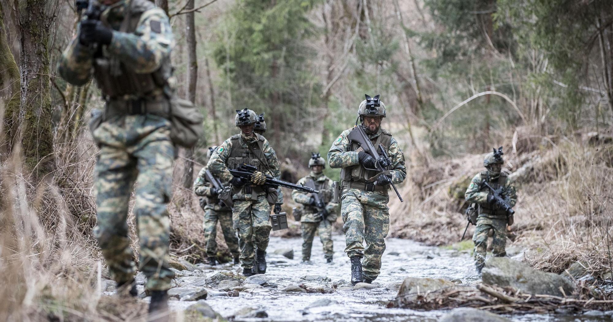 Das Österreichische Bundesheer